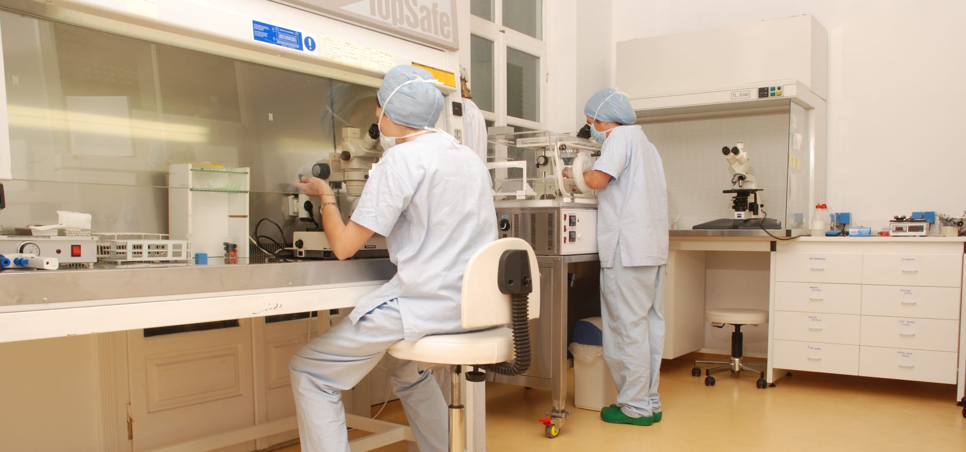 Fertilizare In Vitro Clinici Mitosis - FIV Europe - Ovocite Donate