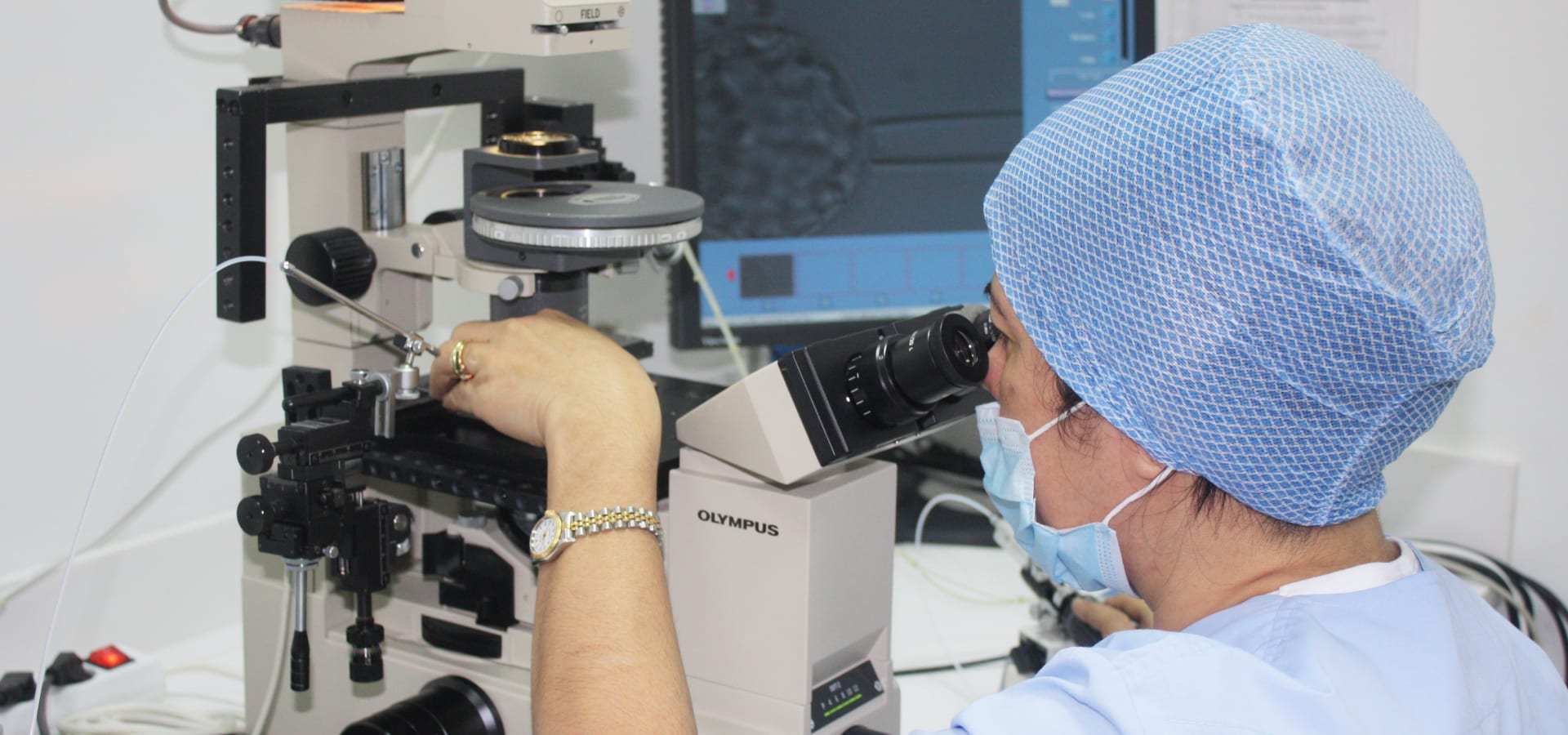 Fertilizare In Vitro Clinici Mitosis - FIV Europe - Ovocite Donate