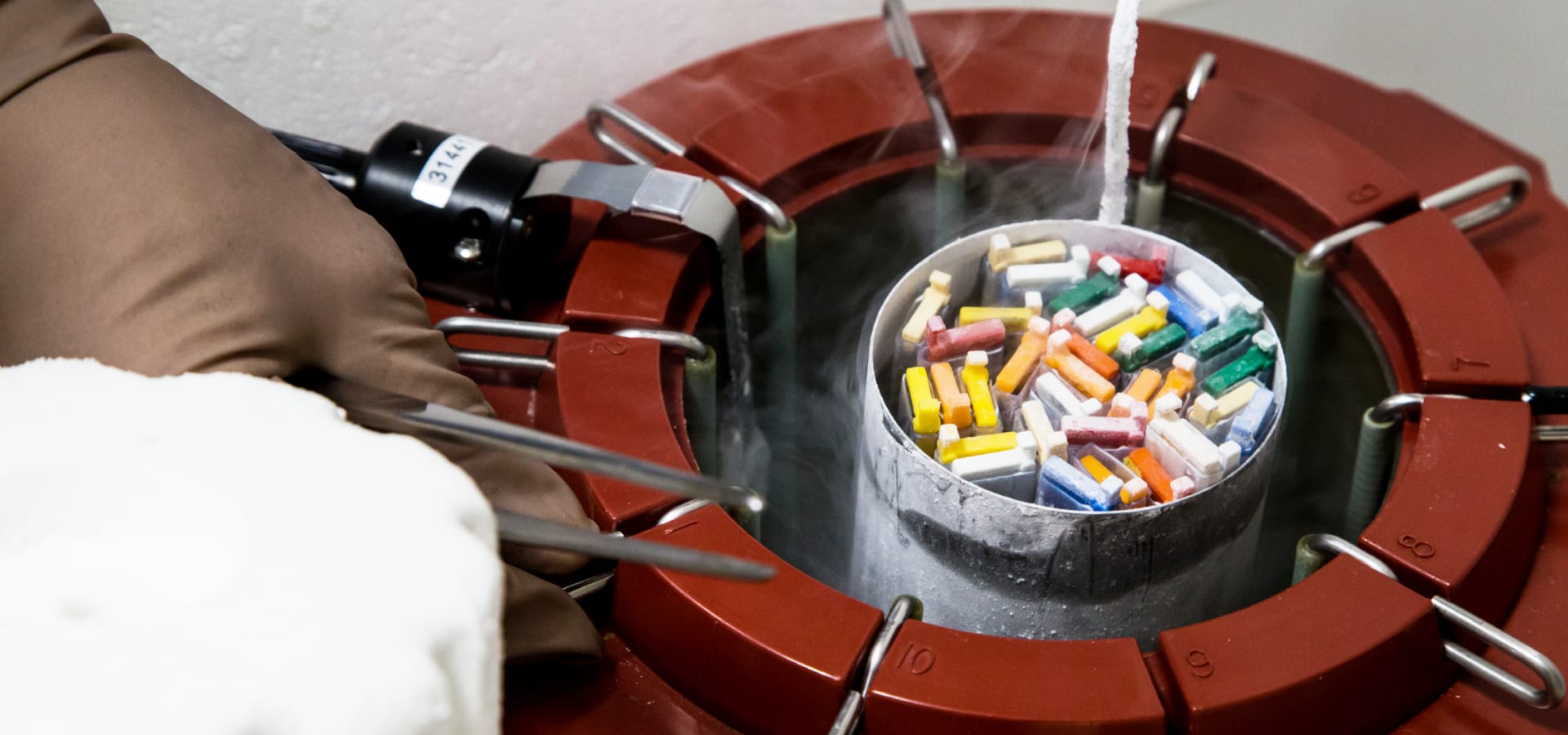 Fertilizare In Vitro Clinici Mitosis - FIV Europe - Ovocite Donate