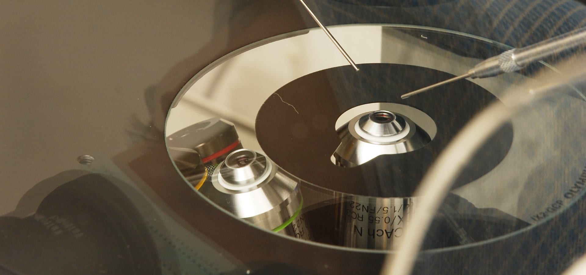 Fertilizare In Vitro Clinici Mitosis - FIV Europe - Ovocite Donate